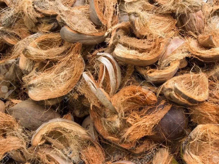 Planta de Pirólisis de Biomasa | Hacer biocarbón