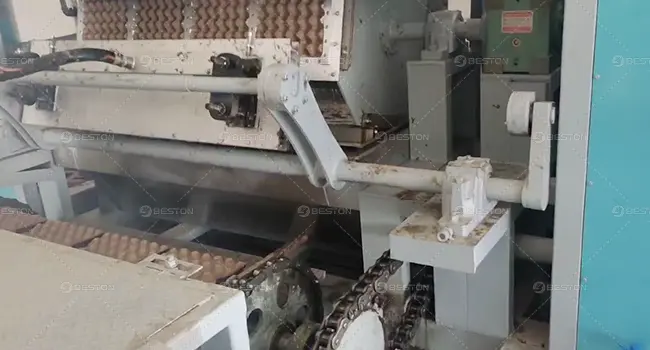 Instalación de Máquina para Fabricar Bandejas de Huevos para Granjas ...